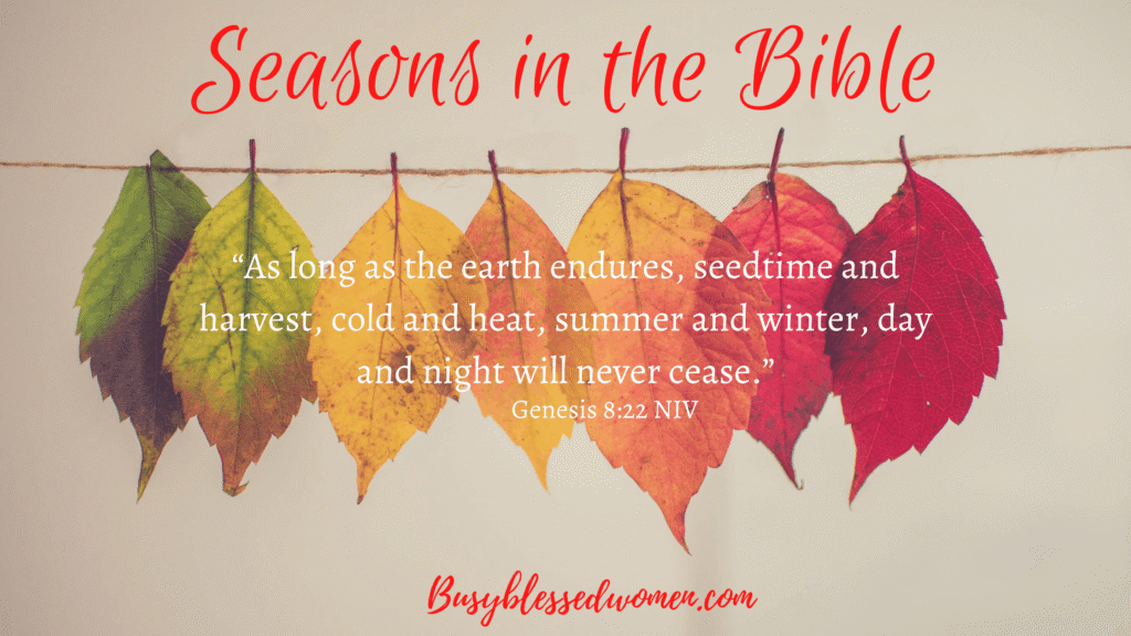 Bible Verses For The Fall Season - Bible Wisdom Hub
