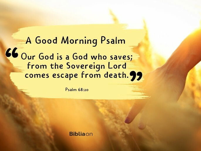 Good Morning Images With Bible Verses In English - Bible Wisdom Hub