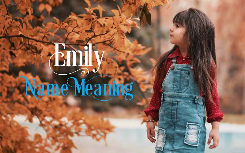 Is The Name Emily In The Bible - Bible Wisdom Hub