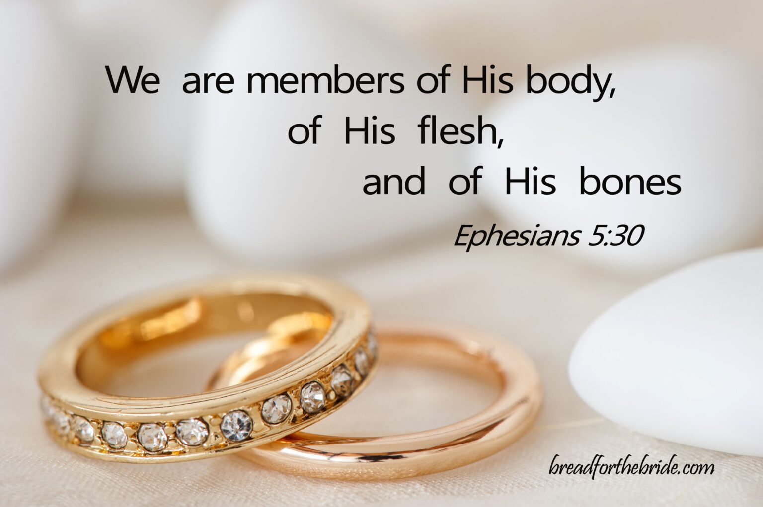 Meaning Of Broken Bones In Bible - Bible Wisdom Hub