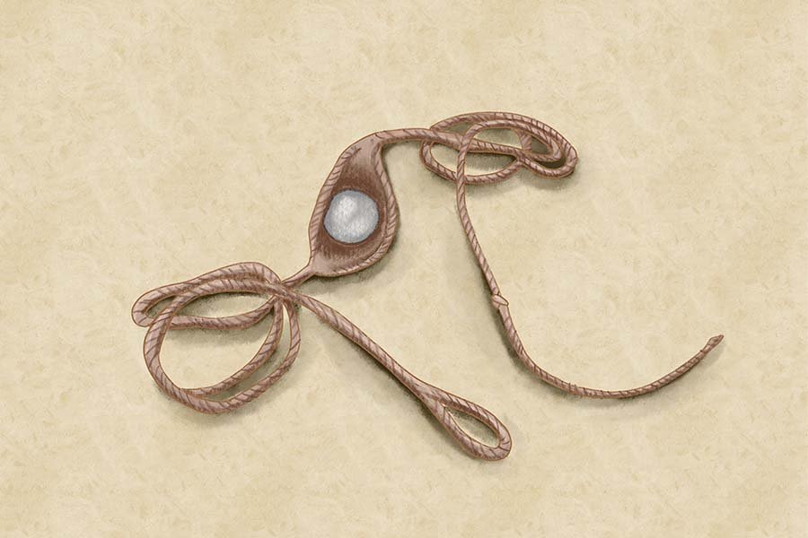 Weapon For David In The Bible - Bible Wisdom Hub