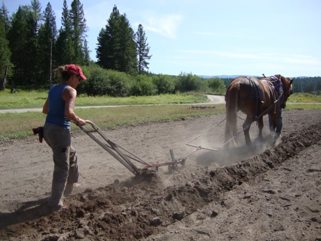 What Does Plough Mean In The Bible - Bible Wisdom Hub