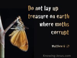 What Does The Bible Say About Bugs - Bible Wisdom Hub
