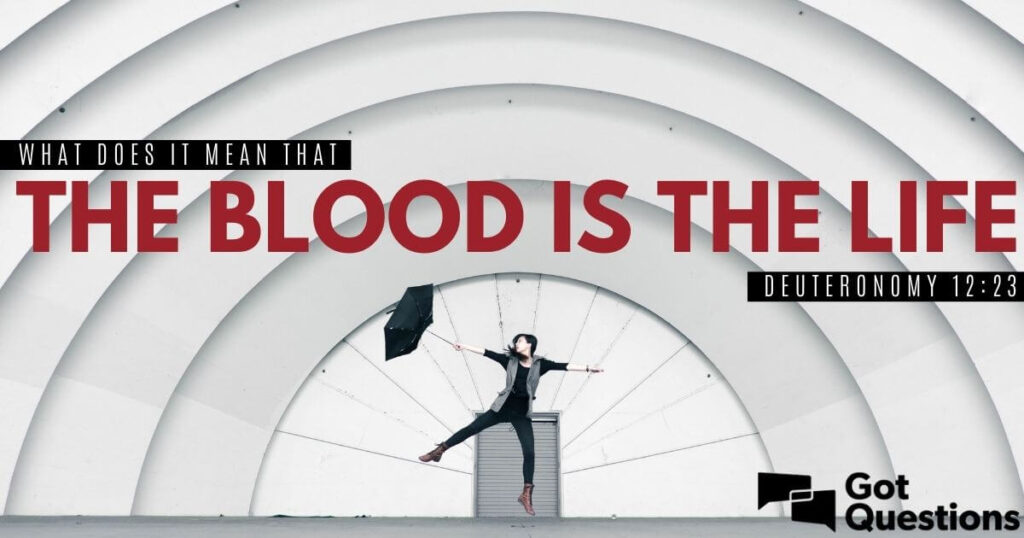 What Does The Bible Say About Donating Blood - Bible Wisdom Hub