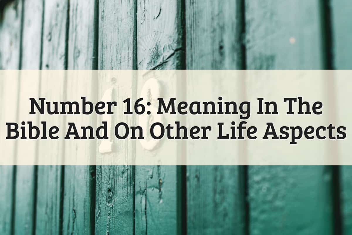 What Does The Number 16 Mean In Bible - Bible Wisdom Hub