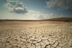 What Is Fallow Ground In The Bible - Bible Wisdom Hub